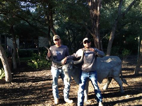 Cedar Park Tree Trimming Company Photo Gallery