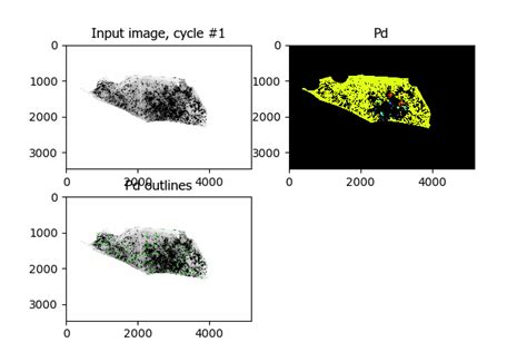 problems with identifying primary objects image analysis image sc forum