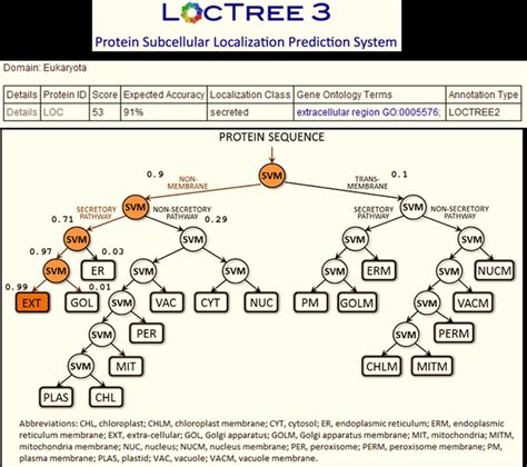 the loctree3 prediction result output for input protein sequence