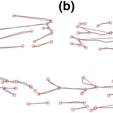 Speeded Up Robust Features Surf Feature Points Extracted From The