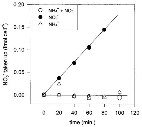 Nitrite Uptake By Synechococcus Sp Strain Wh 7803 Grown On Different