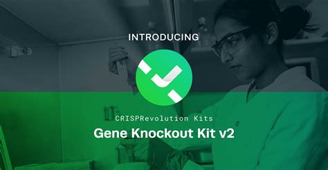 Introducing Gene Knockout Kit V2 The Next Generation Knockout Strategy Synthego