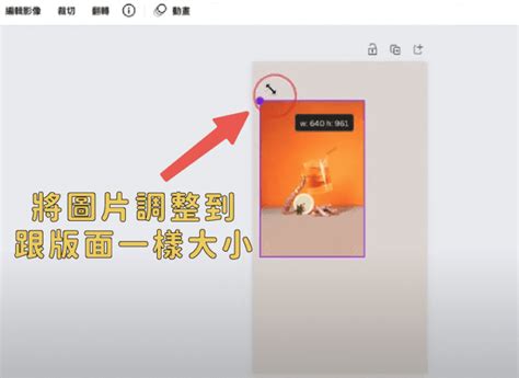 Canva 教學：17 個實用技巧公開，大幅提升你的設計效率（新手寶典） 犬哥網站