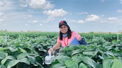Breeding Soybean Plants That Lock In Moisture Research Highlight