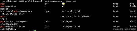为什么要引入pod，pod资源版本，command使用，pod常见状态，pod拉取策略，pod重启策略 pod版本 csdn博客