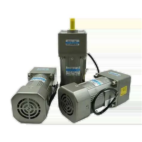 6w Ac Induction Gear Motor