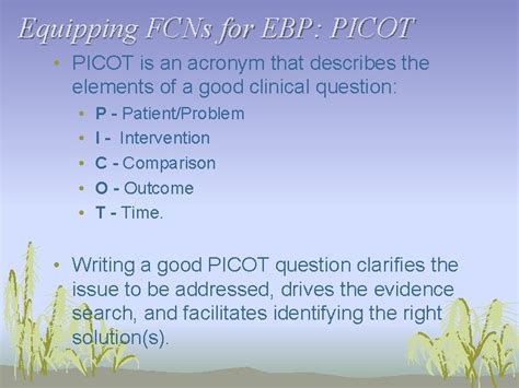 Role Faith Community Nurses In Evidencebased Practice Mary