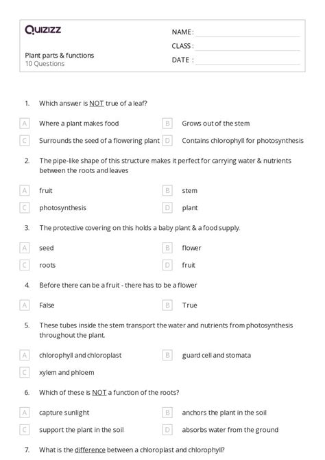50 Functions Worksheets For 6th Grade On Quizizz Free And Printable
