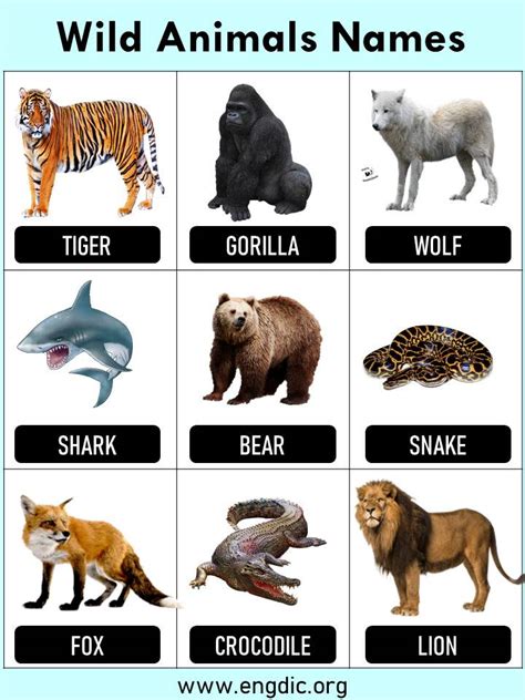 Wild Names