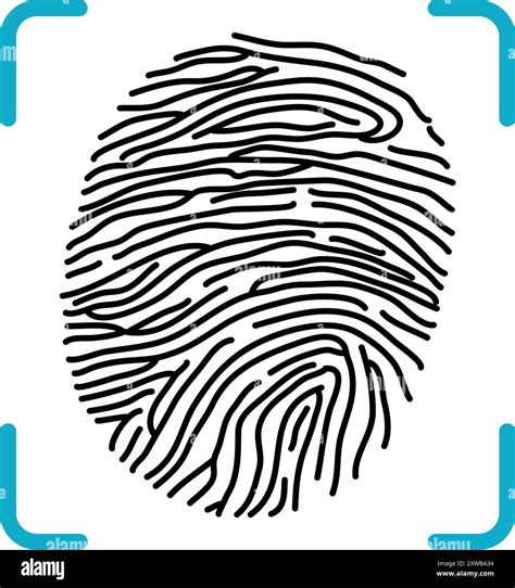 Fingerprint Scanning Icon Identification Symbol Verification Sign