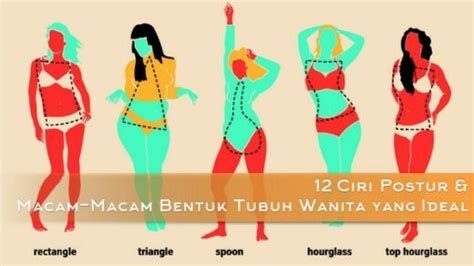 17 Ciri Postur Macam Macam Bentuk Tubuh Wanita Ideal