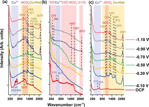 In Situ Raman Spectroscopy On Bare And Histidine Functionalised Cu2o Download Scientific