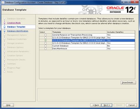 step by step install and configure oracle multi oem using slb load