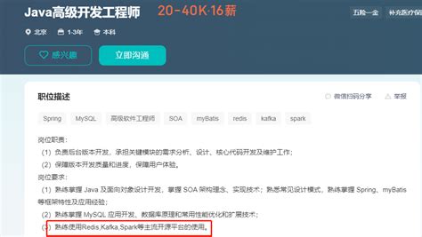 把redis用的最牛逼的java实战项目！ Csdn博客