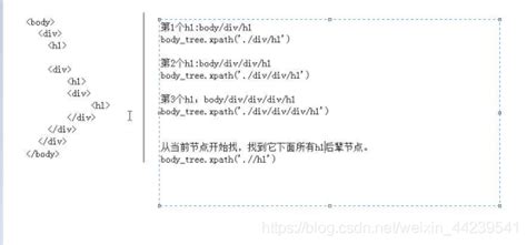 Xpath提取数据xpath取值 Csdn博客