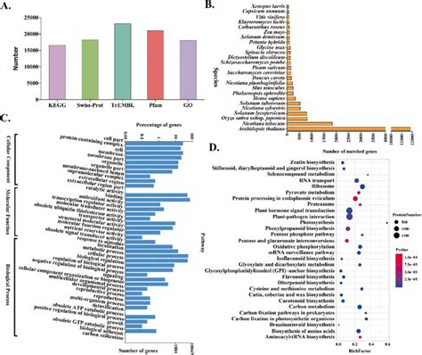 Functional Annotation And Classification Of Corrected Transcripts A Download Scientific