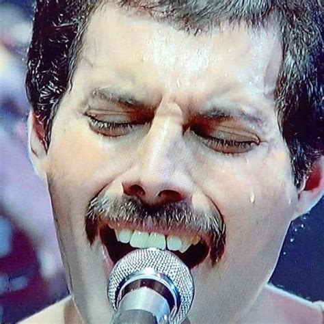 Freddie Knew How To Interact With A Crowd His Energy Was Absolutely