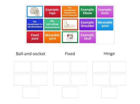 25 Movement Joints Group Sort