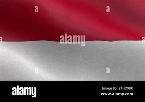 National Flag Of Indonesia Seamless Loop Indonesia Flag Animation A Beautiful View Of