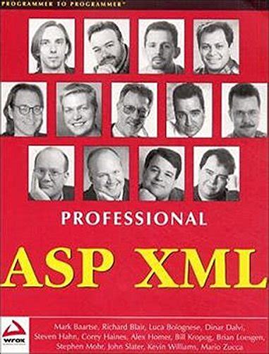Professional Asp Xml Programmer To Programmer Uk Baartse