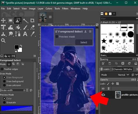 Step By Step Guide To Remove Background In GIMP For Beginners