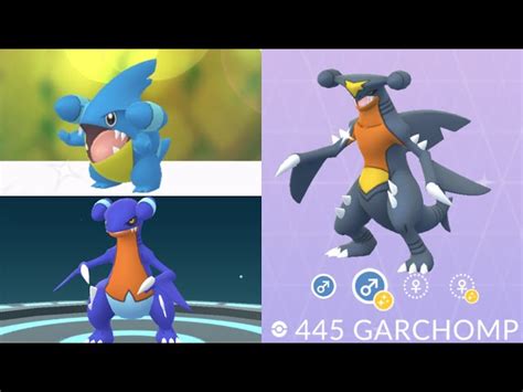 Gible Evolutie Pokemon Legends Arceus Shiny Gible Alpha Max Effort