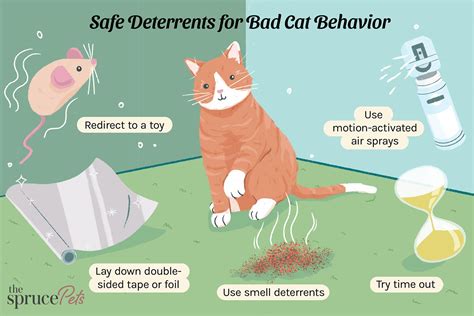 How Do You Punish A Cat For Scratching You