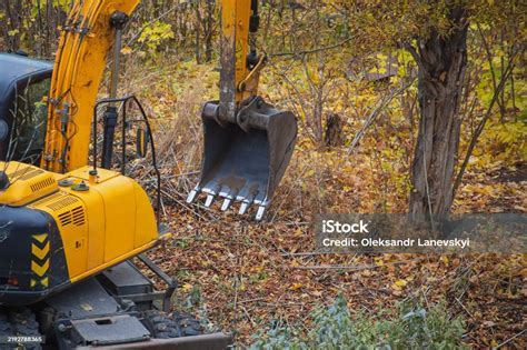 숲이 우거진 지역에서 작업을 시작하기 전에 굴삭기 버킷의 클로즈업 새로운 영토 개발 산업 및 환경 보호 0명에 대한 스톡 사진 및 기타 이미지 Istock