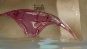 Naked Gabriella Grecco In A Segunda Vez