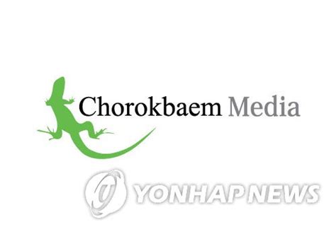 초록뱀미디어 스카이이앤엠 주식 374억원에 추가취득 연합뉴스