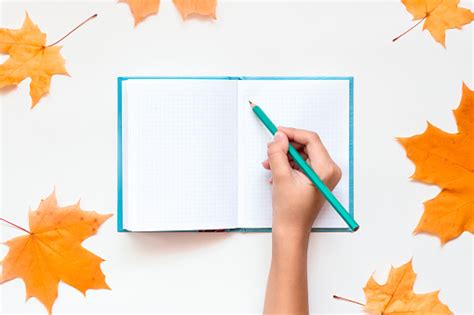 단풍을 배경으로 연필을 손에 들고 있는 노트 일기 드힐드가 그리는 연필을 들고 있다 가을에 대한 스톡 사진 및 기타 이미지 가을 개념 계절 Istock