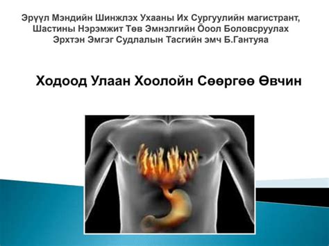 Хоол боловсруулах тогтолцоо Pptx