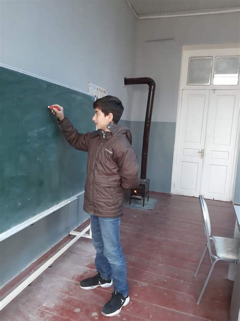 სოციალური პროექტები ბულინგი სკოლაში