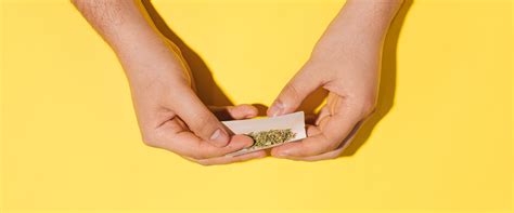 A High Like No Other Finding Strains With High Thc