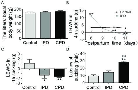 Effects Of Pup Deprivation On Lactation Performance Of Rat Dams A Download Scientific