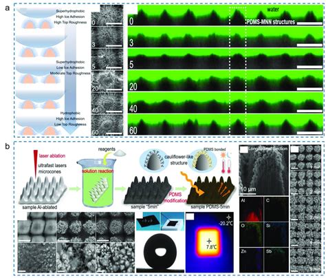 Enhanced Icephobic Durability A Enhanced Micro Nanostructure