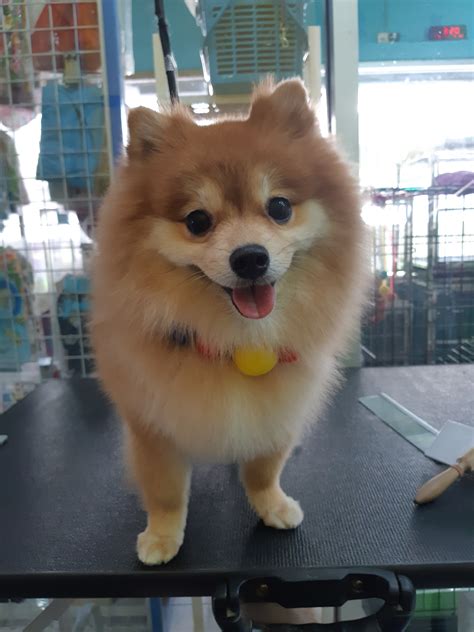 ผมมาอาบน้ำคร๊าบบบบบ รามคำแหง16 อาบน้ำ ตัดขน