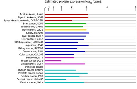 Erh Gene Genecards Erh Protein Erh Antibody