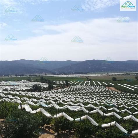 Roof Shade Net House Anti Hail With Trellising System For Apple Manufacturer Supplier From