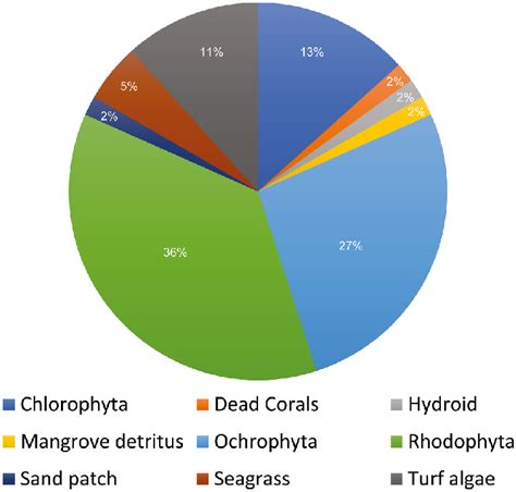 The Macrophytes And Other Substrates Reported As Having The Highest Download Scientific Diagram
