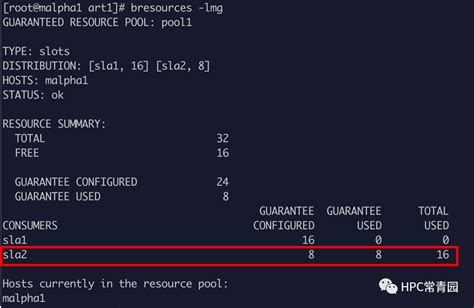 Lsf实践专题（30）：在lsf集群通过guaranteed Sla进行资源定向规划lsf 101014 Spk Csdn博客