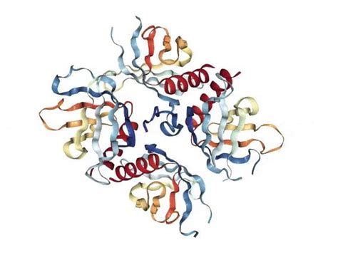 氨基酸结构式与分类 知乎