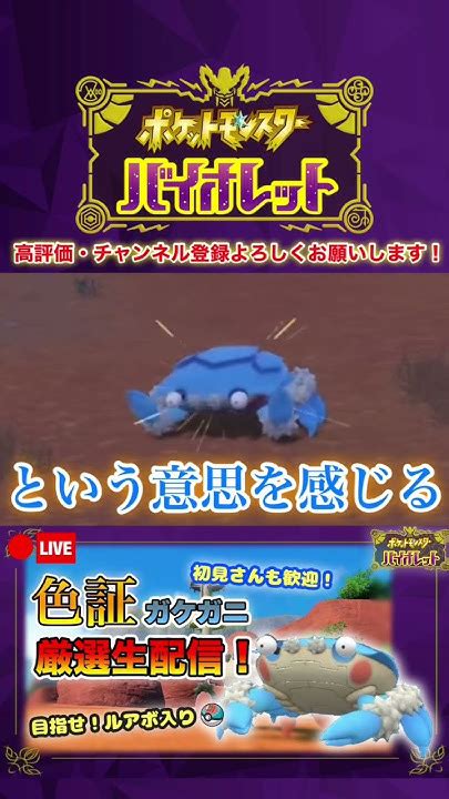 【ポケモンsv】色違いガケガニと出会いウキウキになる男 Shorts Youtube
