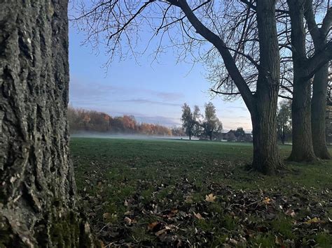 Path Dependence Medium