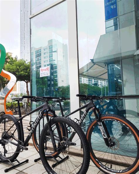 하드테일 Mtb 2022 스페셜라이즈드 에픽 하드테일 베이스 And 콤프 And 익스퍼트 카본 엠티비 전국 최대 규모 500평 And 고급 기함 자전거 전문 조립 매장