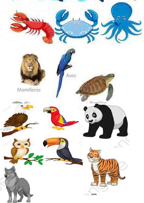 Animales Terrestres Animals Character Disney Characters