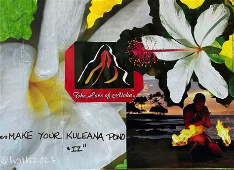 Make Your Kuleana Pono Laurel Valli