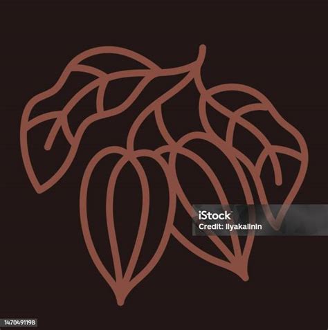 코코아 콩 초콜릿 아이콘입니다 콩과 가지가 나뭇잎 편집 가능한 윤곽선 획 벡터 선입니다 0명에 대한 스톡 벡터 아트 및 기타 이미지 Istock