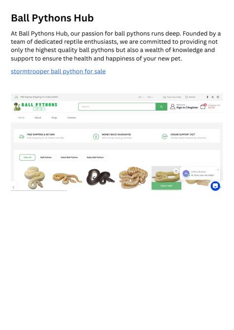 Ppt Ball Pythons Hub Powerpoint Presentation Free Download Id14040511