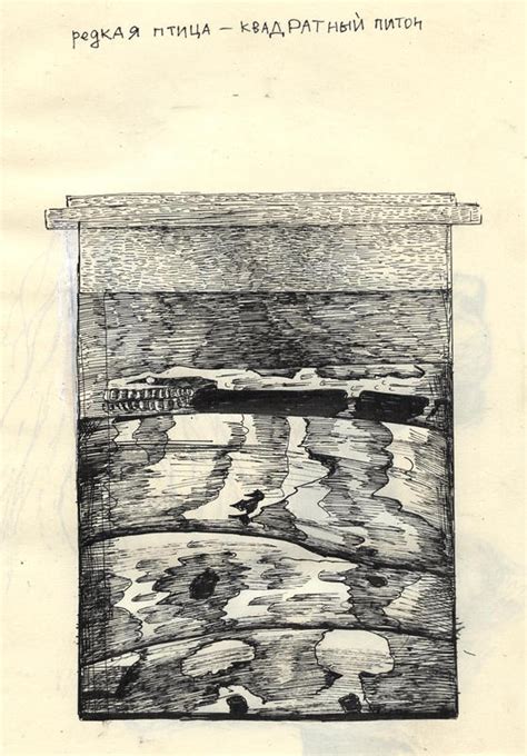 Square Python By Sigarilla On Deviantart